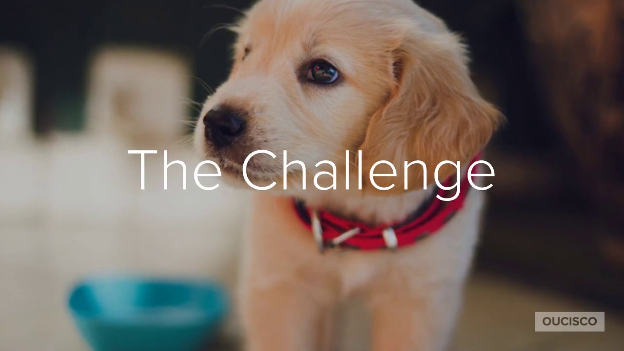 Open Networking Lab Accessibility - The Challenge