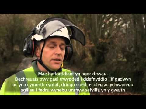 Careers in Forestry - John Whitehead, Tree Surgeon, FLS Tree Care