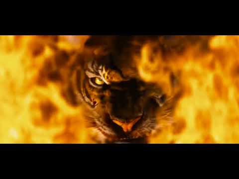 Tiger group Logo - loop created by Mint Studio by VJ Nirav
