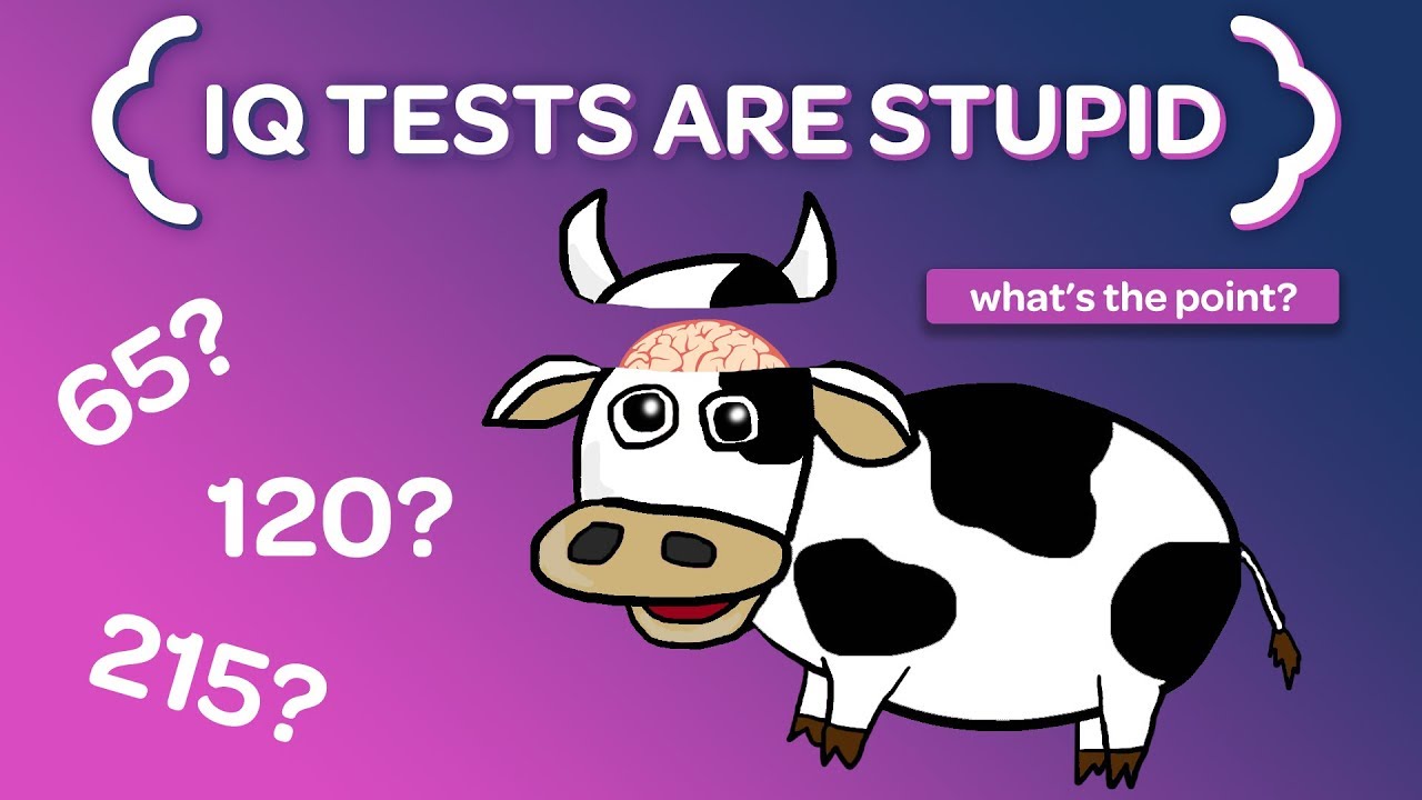 Why IQ Tests Are Stupid
