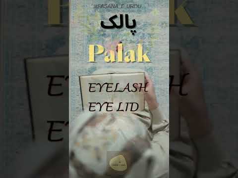 Palak Name Meaning ❤️🍁 | How to write Palak in Urdu | Fasana_E_Urdu #shorts