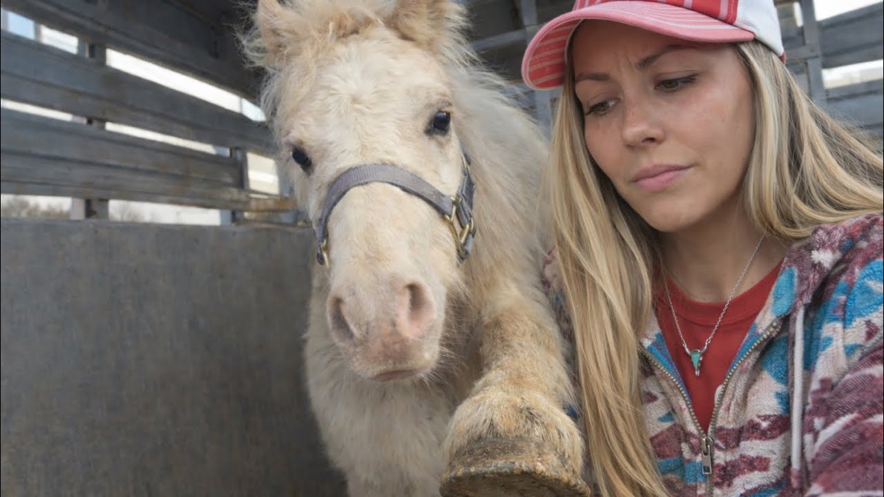 I’m Never Doing This Again….