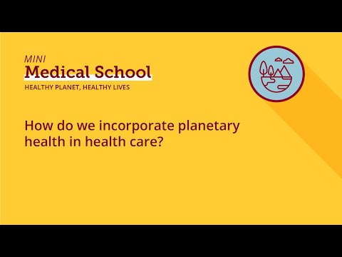 How Do We Incorporate Planetary Health in Health Care?