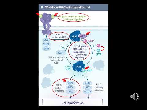 KRAS activation and adagrasib