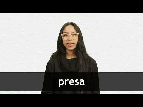 English Translation of “PRESA” | Collins Spanish-English Dictionary