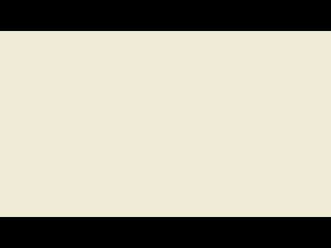 12 Hours Egg Shell Color Screen | Shades of White | Still Color Screens