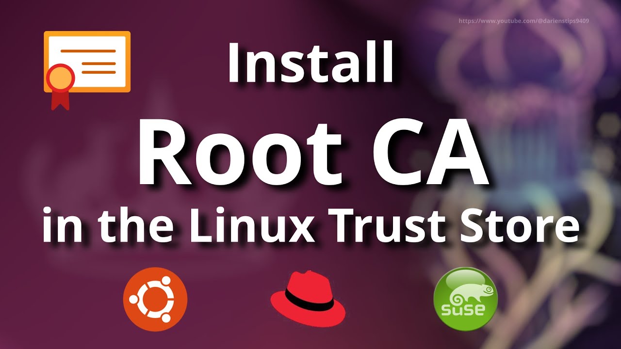 Install a Root CA in the Linux Trust Store (Ubuntu, Debian, RHEL, SUSE)