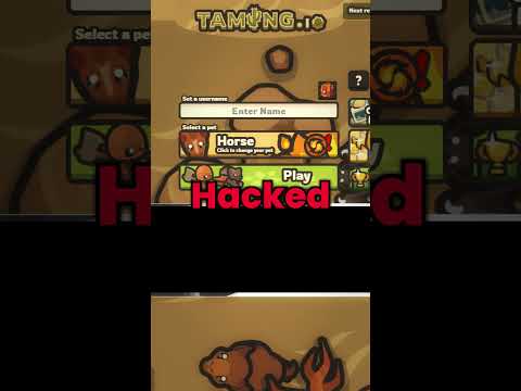 My Taming.io Account Got Hacked!