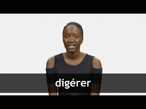 English Translation of “DIGÉRER” | Collins French-English Dictionary