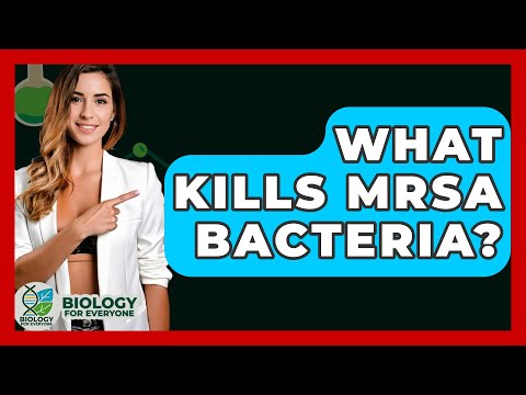 What Kills MRSA Bacteria? - Biology For Everyone