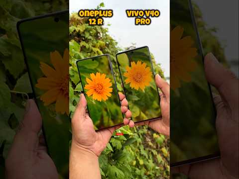 Vivo V40 Pro vs Oneplus 12R Camera Test (5x Zooming) #vivov40pro #oneplus12r #comparison #shorts