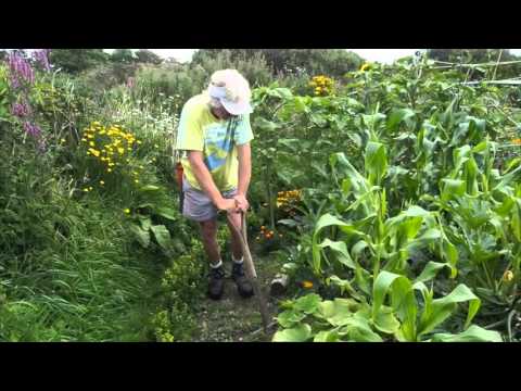 Digging with a Garden Fork - LLOOF Hand Tools Guide