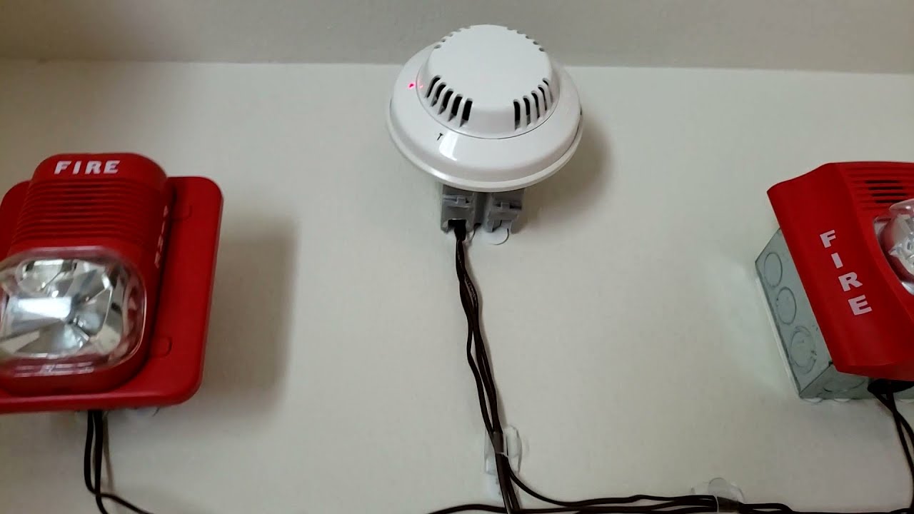 Mini Fire Alarm System Test 3: Supervised zone, and a special guest!