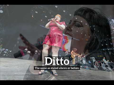 What is Ditto? | How to Say Ditto in English? | How Does Ditto Look?