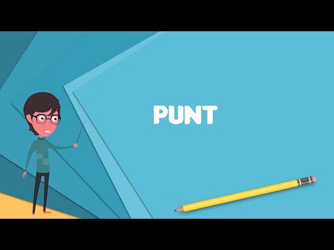 What is Punt (boat)? Explain Punt (boat), Define Punt (boat), Meaning of Punt (boat)