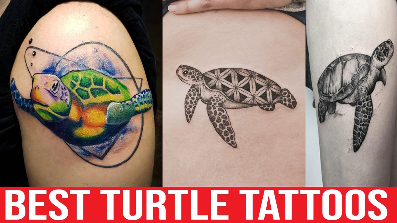 Top 50 Best Turtle Tattoos