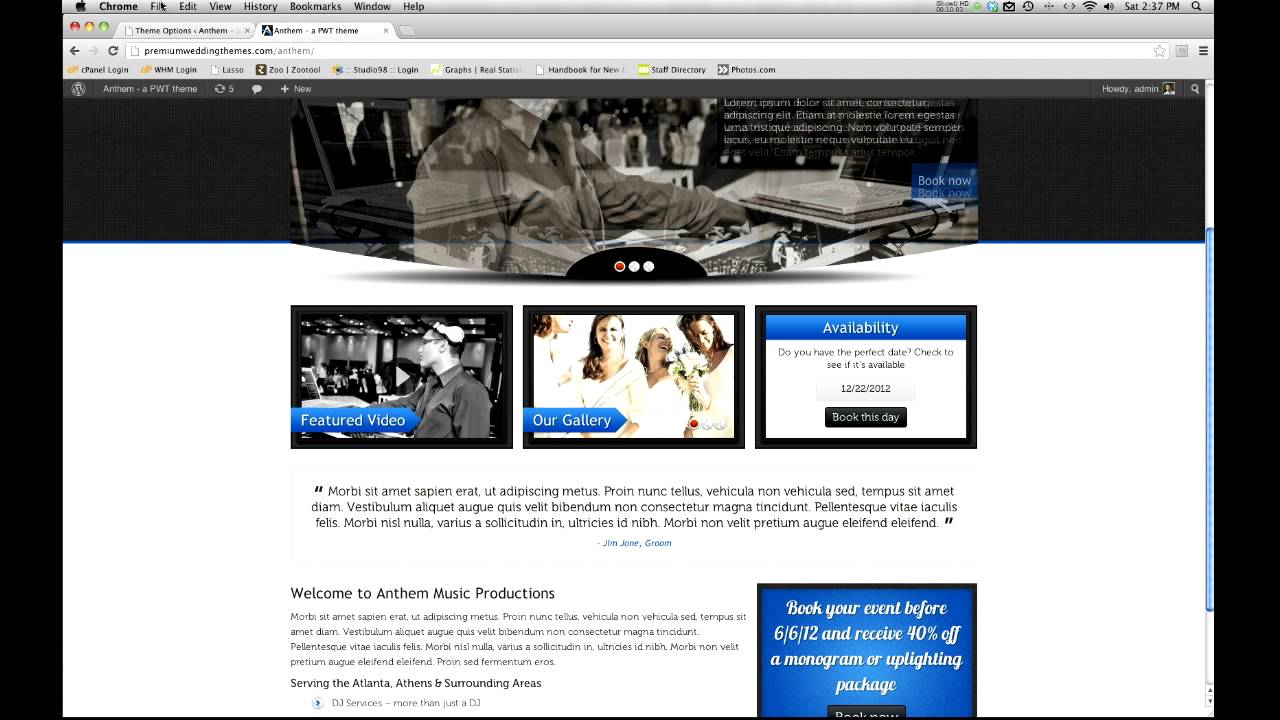 Anthem Theme Options Panel