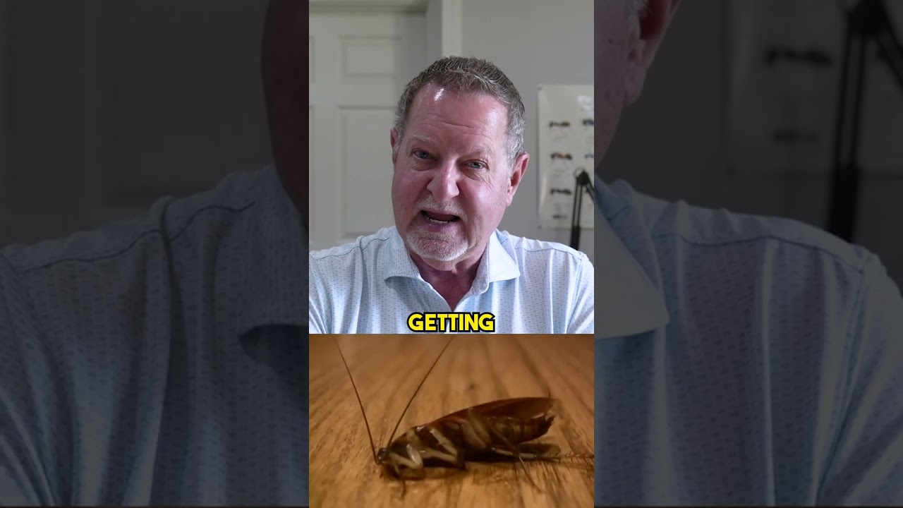 Avoid These Mistakes When Doing DIY Pest Treatments
