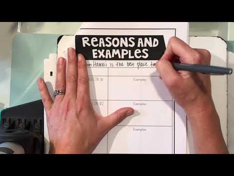 Opinion: Reasons and Examples