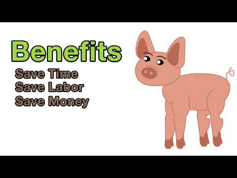 Animated Promo: ProSort Systems – Ethan Swick