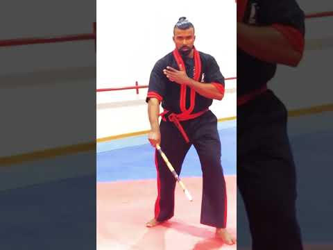 Modern Arnis 12 basic strikes