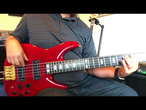 Peavey USA TL-5 Tim Landers signature Super Ferrite pickups | Reverb