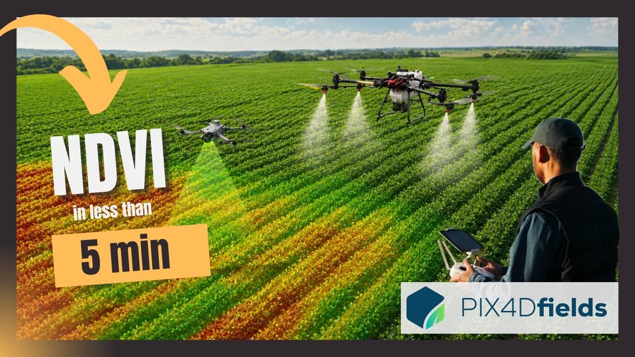 NDVI Value in 5 minutes!!