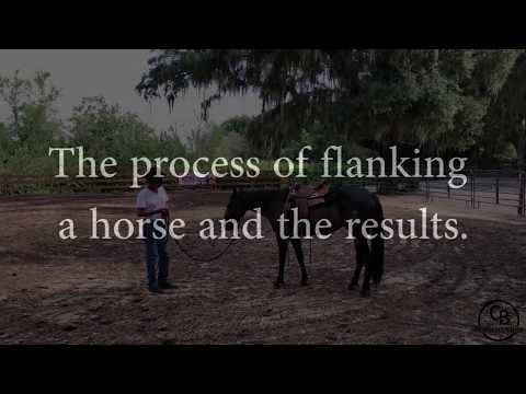 Flanking a horse