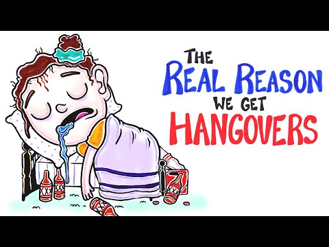 This Is Why You Get Hungover!
