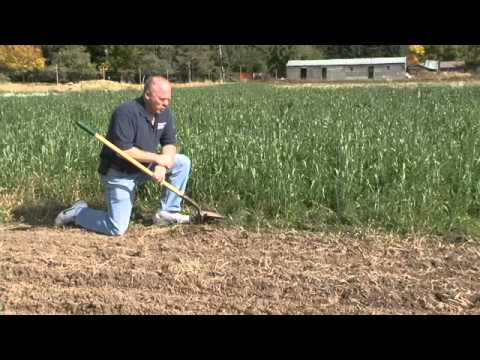Grant Cardon - Soil Specialist