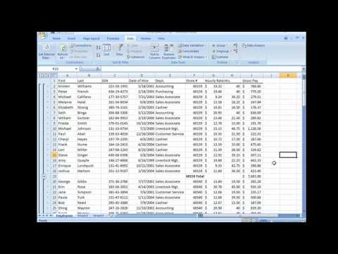 Creating Spreadsheet Subtotals in Microsoft Excel