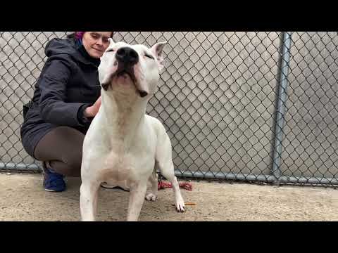 Nomi update 4/21