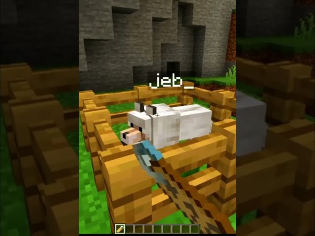 Jeb_ For Wolves And Pigs Minecraft Data Pack