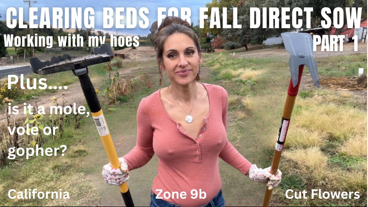 Clearing Beds for Fall Direct Sow #zone9b #cutflowers #flowerfarm