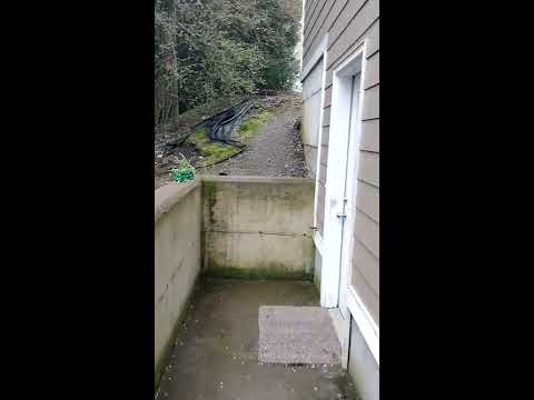 3418 Abbott St. Bellingham Townhouse