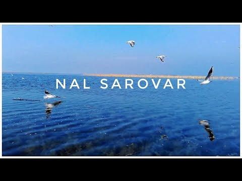 Nal Sarovar Bird Sanctuary | MILAN DEDUN