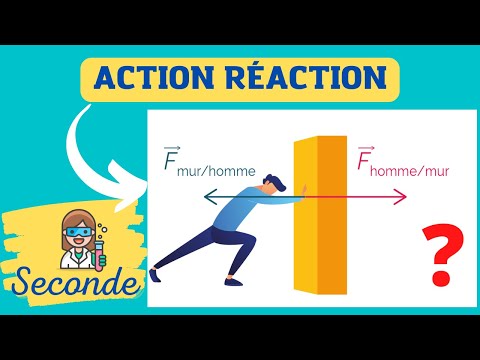 3ème loi de Newton ou Principe des actions réciproques - PHYSIQUE - SECONDE