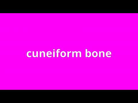 what is the meaning of cuneiform bone