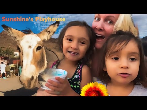 Donkey Town Haunted Ghost Town?!