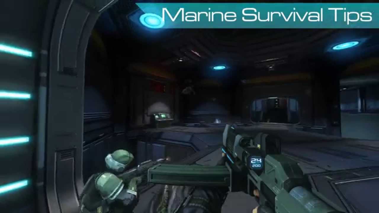 NS2: Combat - Gameplay Overview