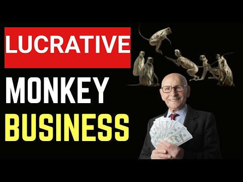 The Monkey Business: How Ponzi Schemes Operate