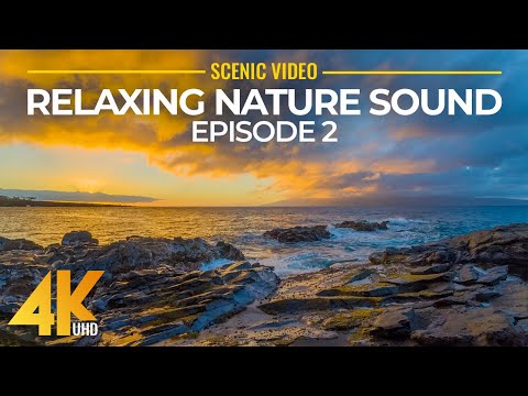 Beautiful Hawaiian Nature in 4K - 8 HRS Relaxing Nature Sounds of Ocean & Tropical Birds - Ep. #2