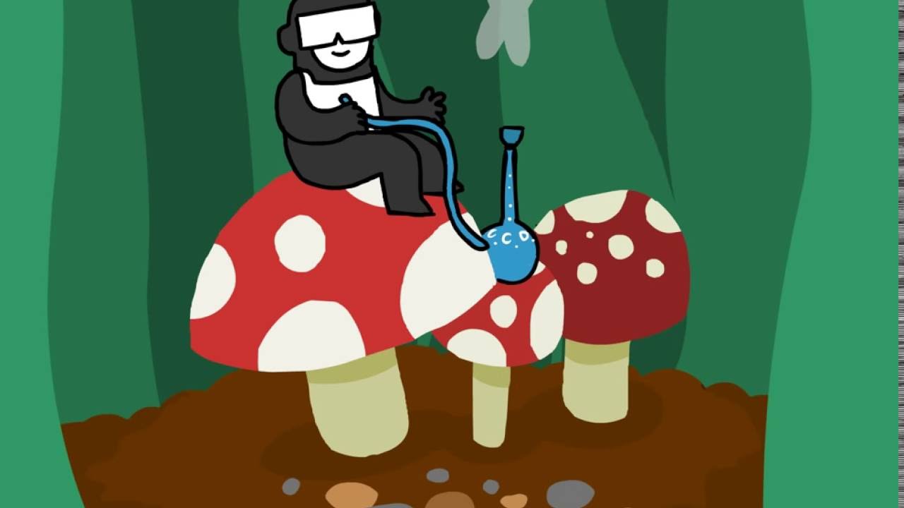 Pico in Wonderland