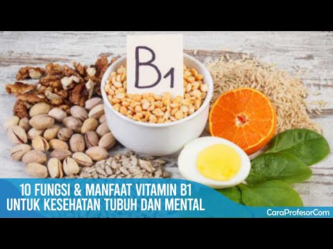 10 Fungsi & Manfaat Vitamin B1 Untuk Kesehatan Tubuh Dan Mental