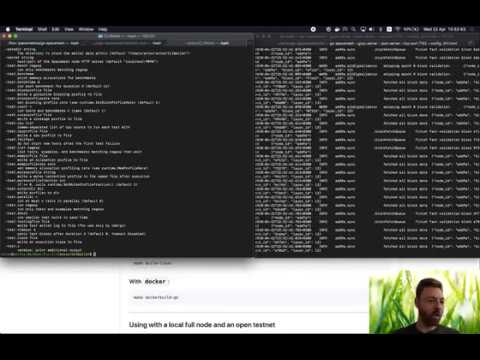 Joining the Spacemesh Testnet from Source Code