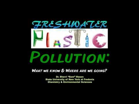 Plastic Pollution: What We Know and Where are We Going?