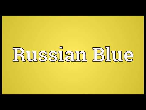 Russian Blue Meaning