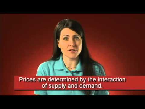 Foreign Currency and Foreign Exchange