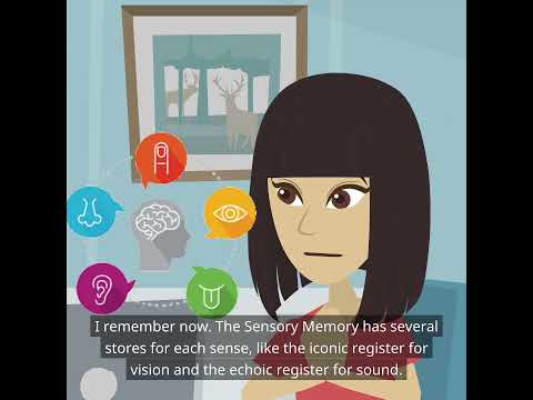 Basic Psychology: Memory