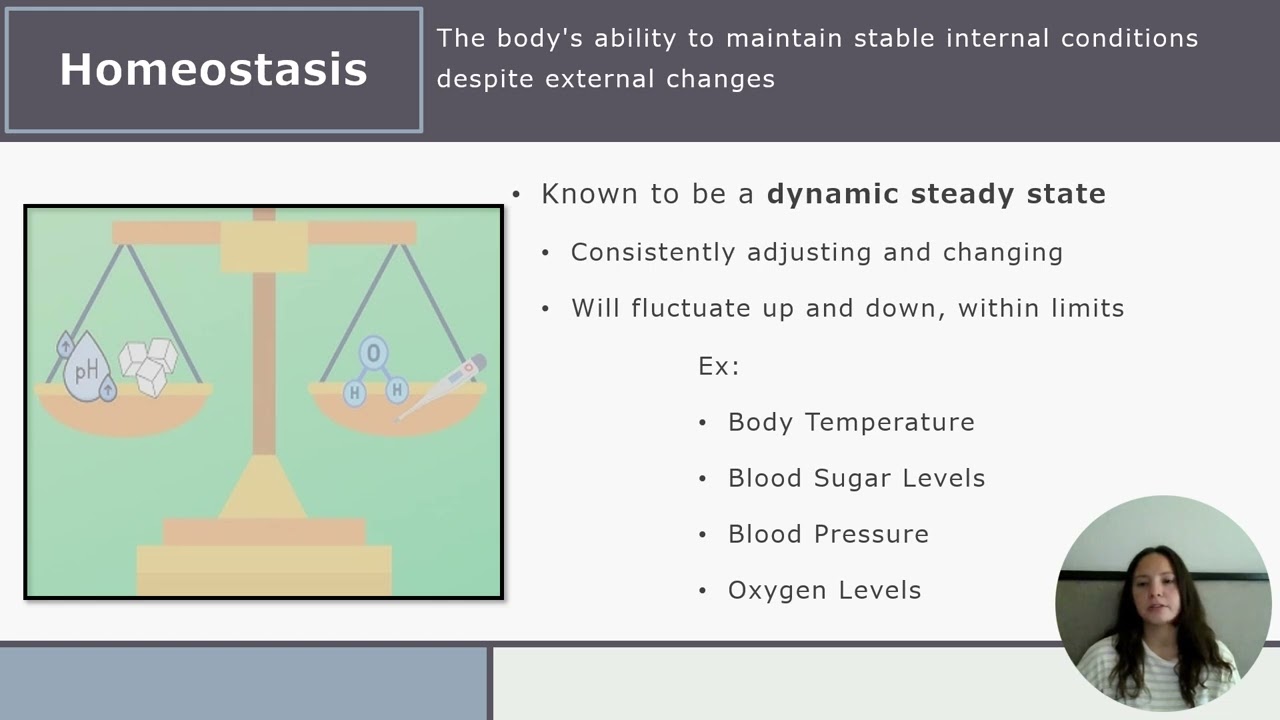 CHAPTER 1 PRESENTATION